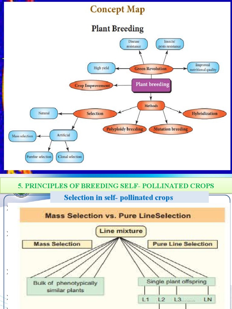 CH 1 Plant Breeding MFM 2021 2 | PDF | Plant Breeding | Inbreeding