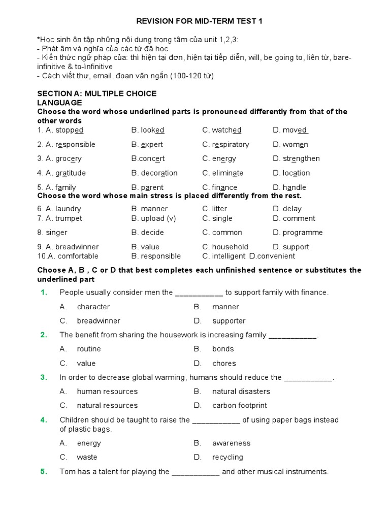 Grade 5 Mid-Term Test Revision Guide | PDF | Stepfamily