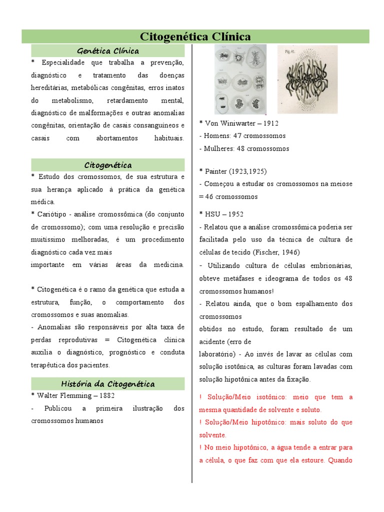 Aula 04, 05 e 06 - Citogenética Clínica | PDF | Cromossomo | Citogenética