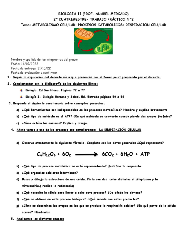 Biología Ii. - TP N°2 - Respiración Celular | PDF | Respiración celular ...