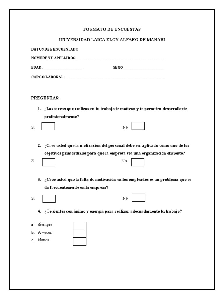 Formato de Encuestas | PDF