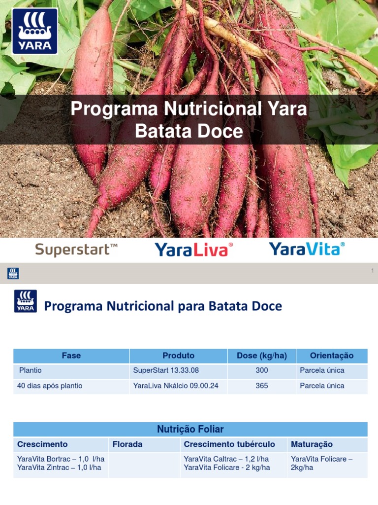 Programa Nutricional - Batata Doce | PDF