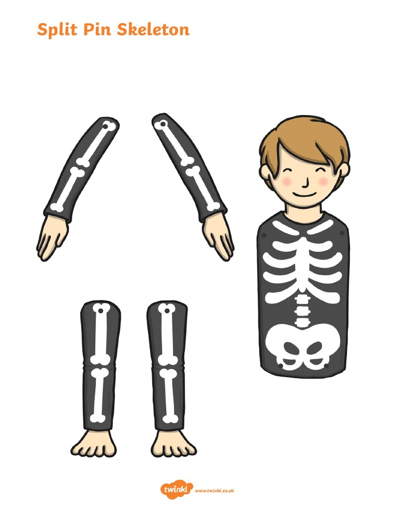 Split Pin Skeleton | PDF