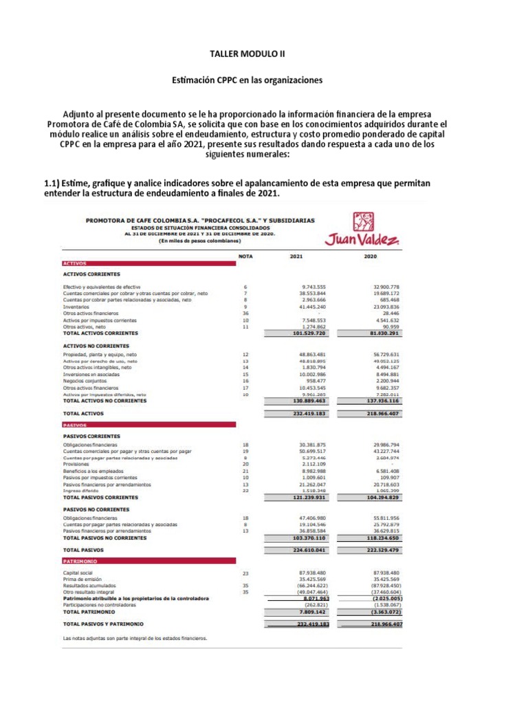 Análisis CPPC y Endeudamiento 2021 | PDF