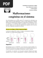 Líquido Amniótico Meconial: Evidencias 2018 | PDF | Parto | El embarazo