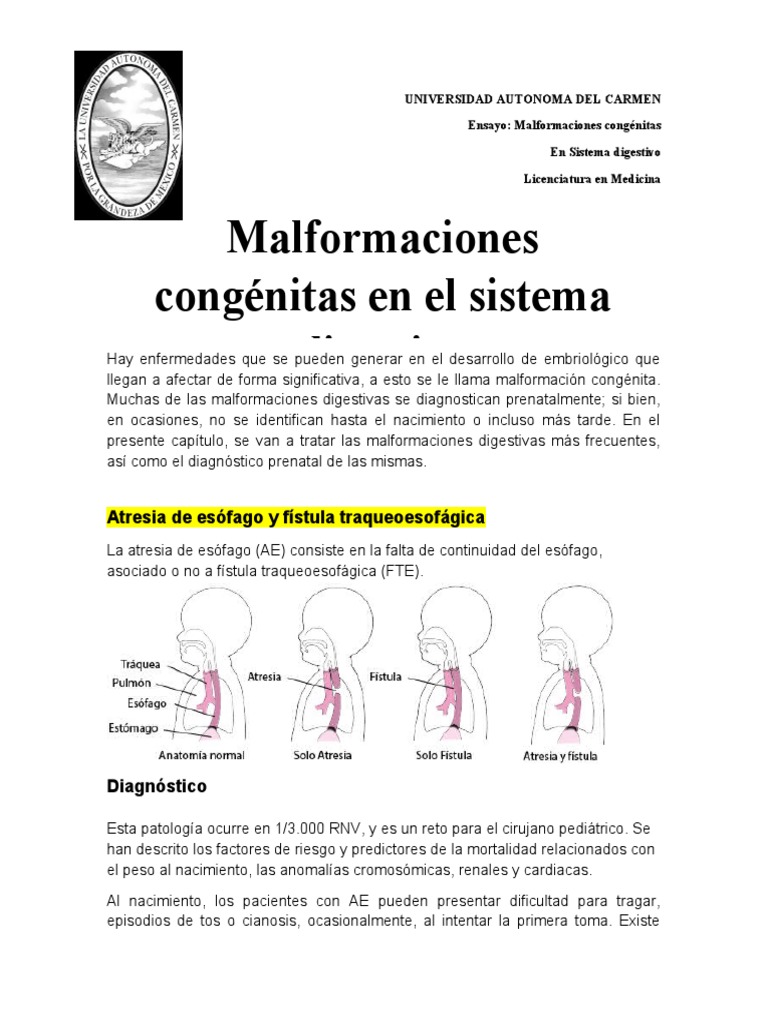 Malformacion Congenita | PDF | Especialidades Medicas | Medicina CLINICA