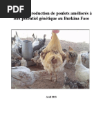 Projet Poulet Goliath | PDF