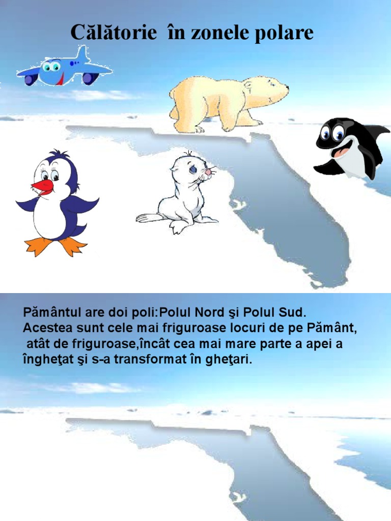 Animale Polare | PDF