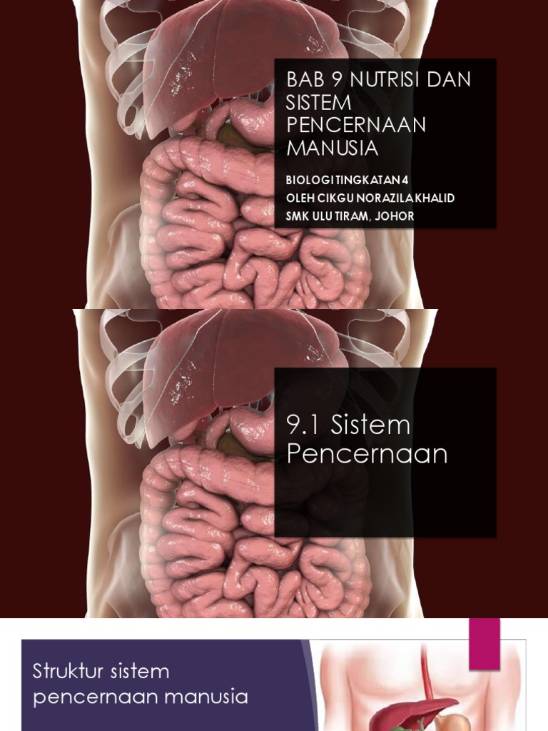 Bio Bab 9 t4 by CG Norazila Khalid? | PDF