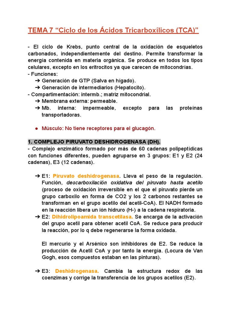 TEMA 7 "Ciclo de Los Ácidos Tricarboxílicos (TCA) " | PDF | Dieta y nutrición | Química