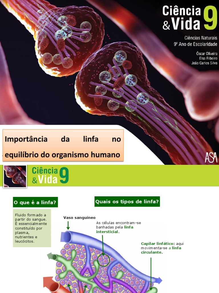 7 Linfa | PDF | Sistema linfático | Linfa