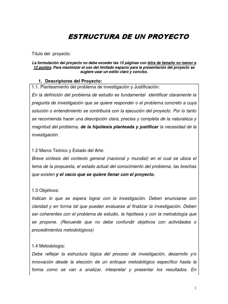 Estructura de Un Proyecto | PDF