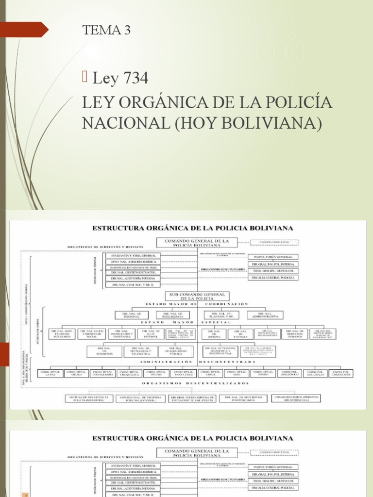 Estructura Organica Pol Bol | PDF