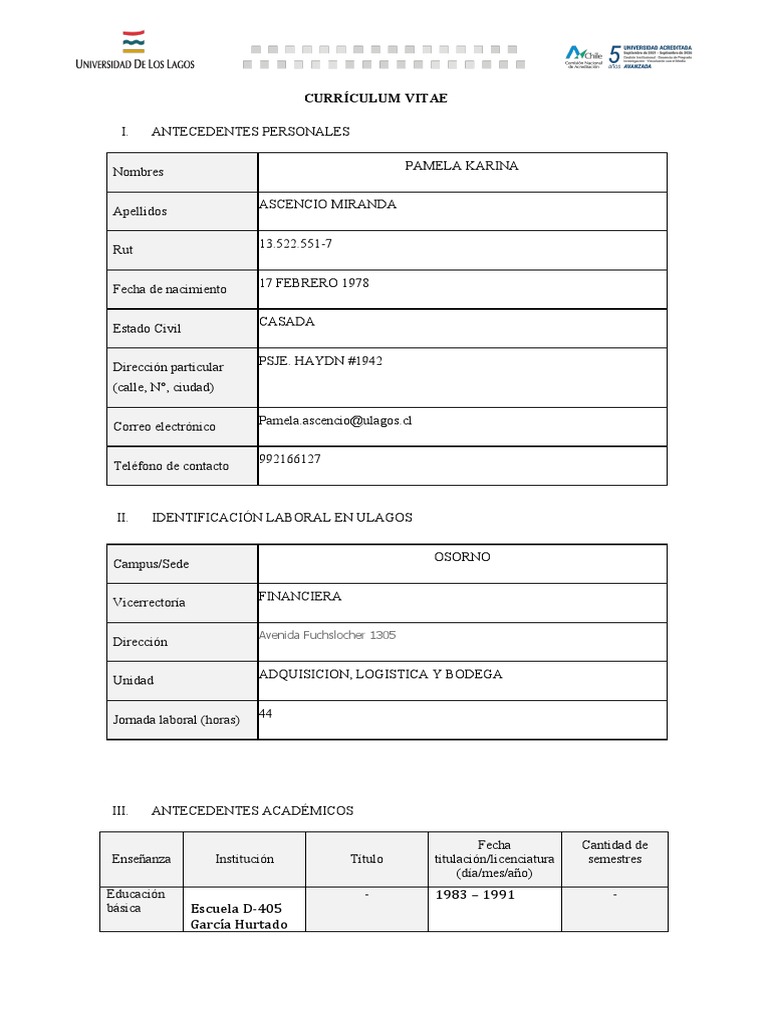 CV Formato Institucional | PDF | Contador