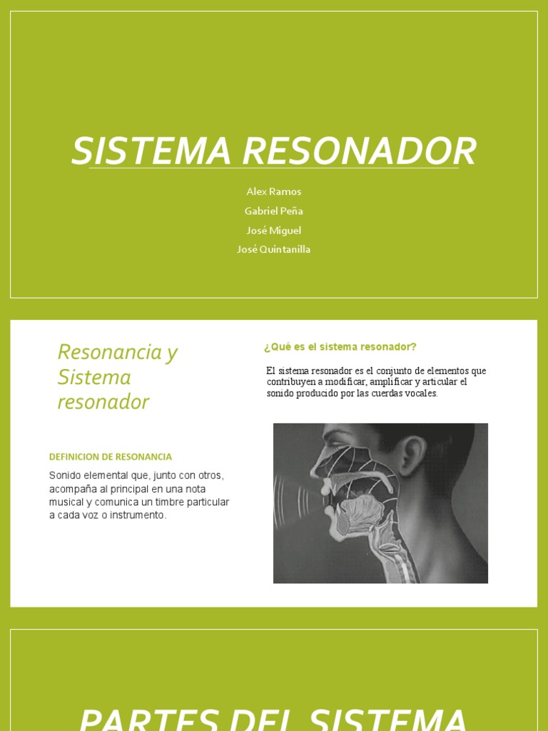 Sistema Resonador | PDF