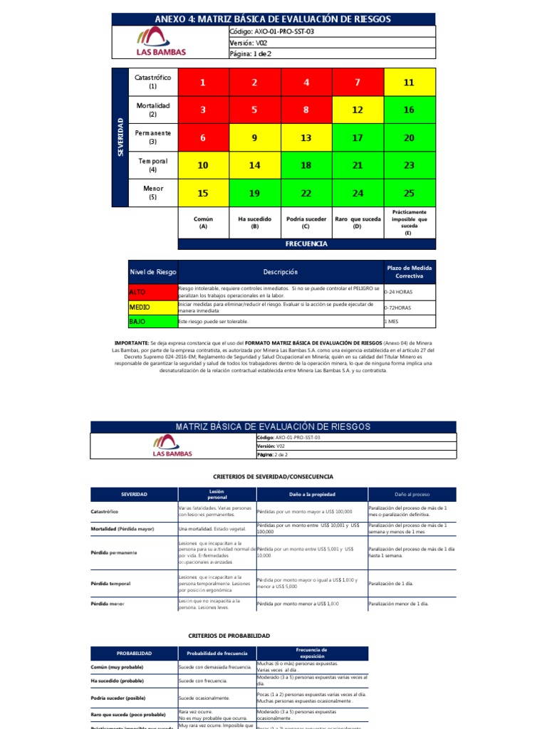 ANEXO 04 Matriz Básica de Evaluacion de Riesgos DS-024 | PDF