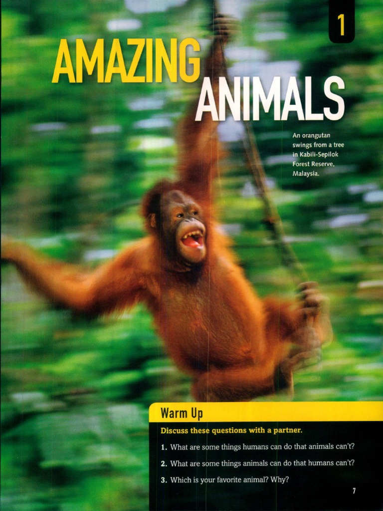 Reading Explorer 1 - 1 | PDF | Dolphin | Orangutan