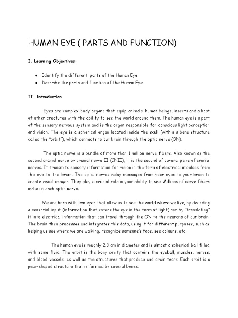 Lira Joy Gile Garduque - Human Eye (Parts and Function) - Finals | PDF