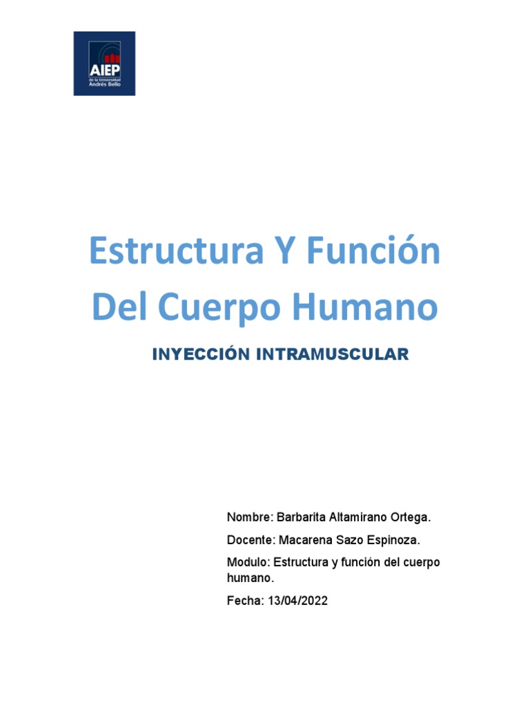 Guía sobre inyección intramuscular: zonas de punción, procedimientos y ...