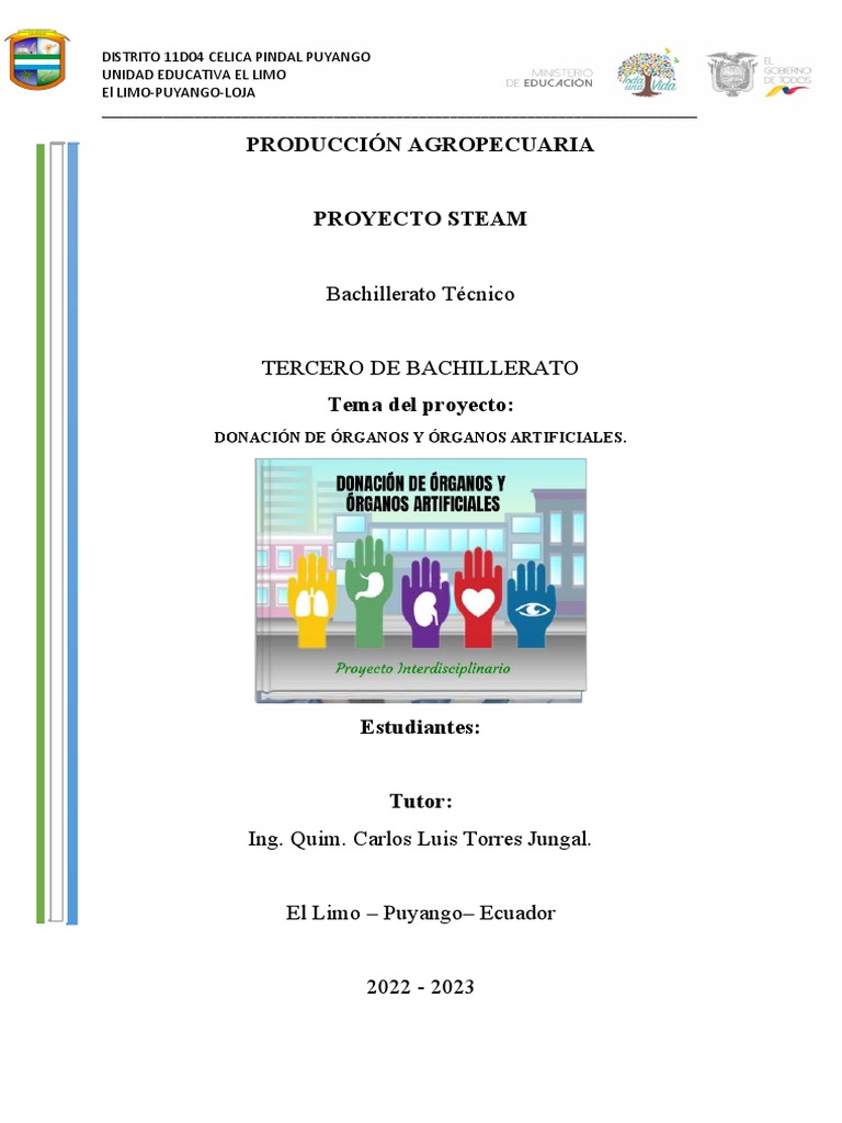 Estructura Proyecto Steam | PDF | Teoría | Paradigma