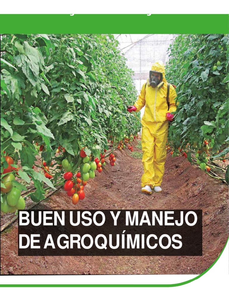 Buen Uso y Manejo de Agroquimicos | PDF | Pesticida