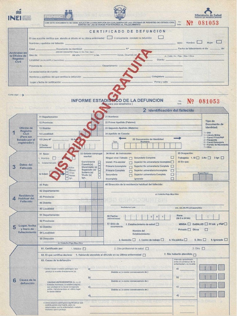 Certificado Defuncion Manual | PDF