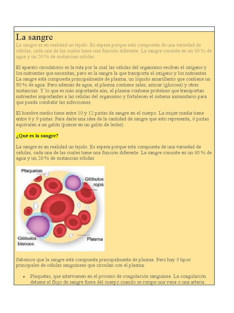 La Sangre | PDF | Sangre | Hematopoyesis
