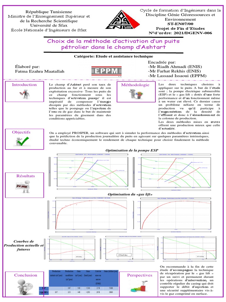 Choix de La Méthode D'activation D'un Puits Pétrolier Dans Le Champ D'ashtart | PDF | Pompe
