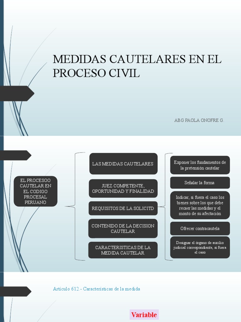 Medidas Cautelares en El Proceso Civil | PDF | Mandato | Derecho Civil ...