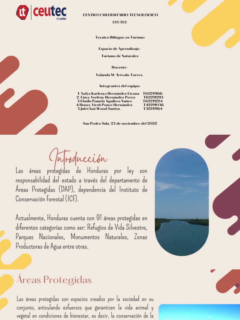 Presentacion de Las Zonas Protegidas | PDF | Los bosques | Honduras