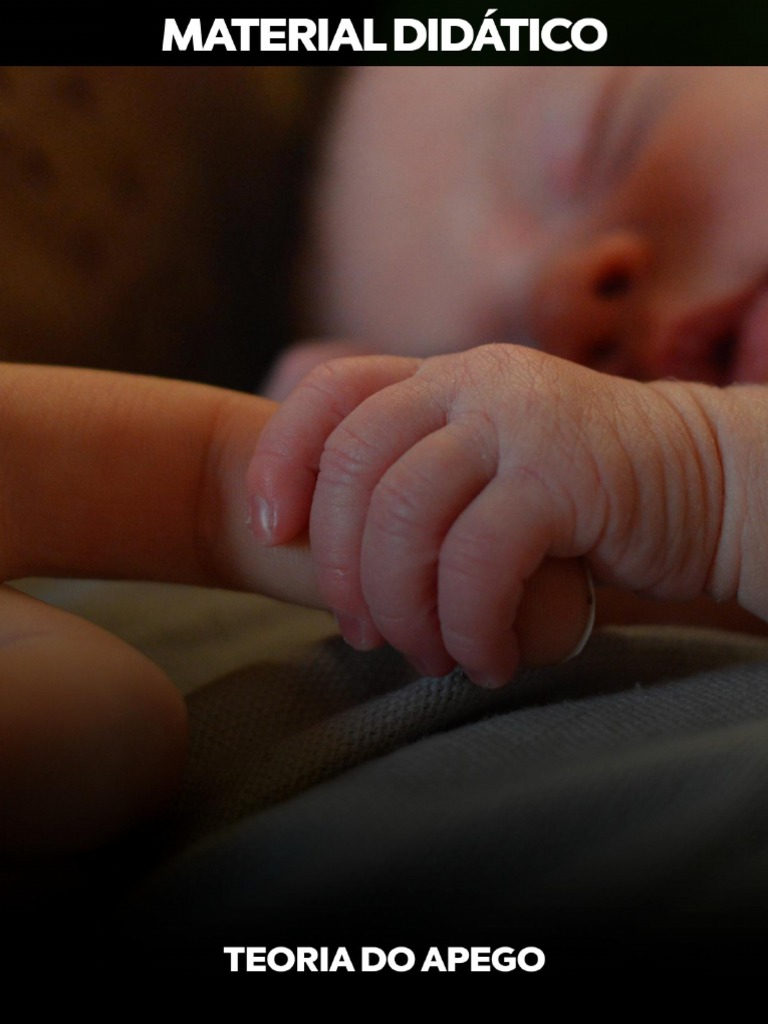Teoria Do Apego | PDF