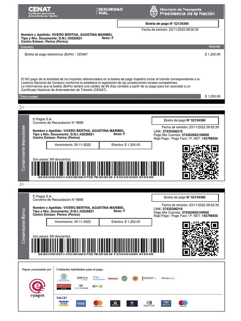 Boleta de Pago para Licencia de Conducir | PDF