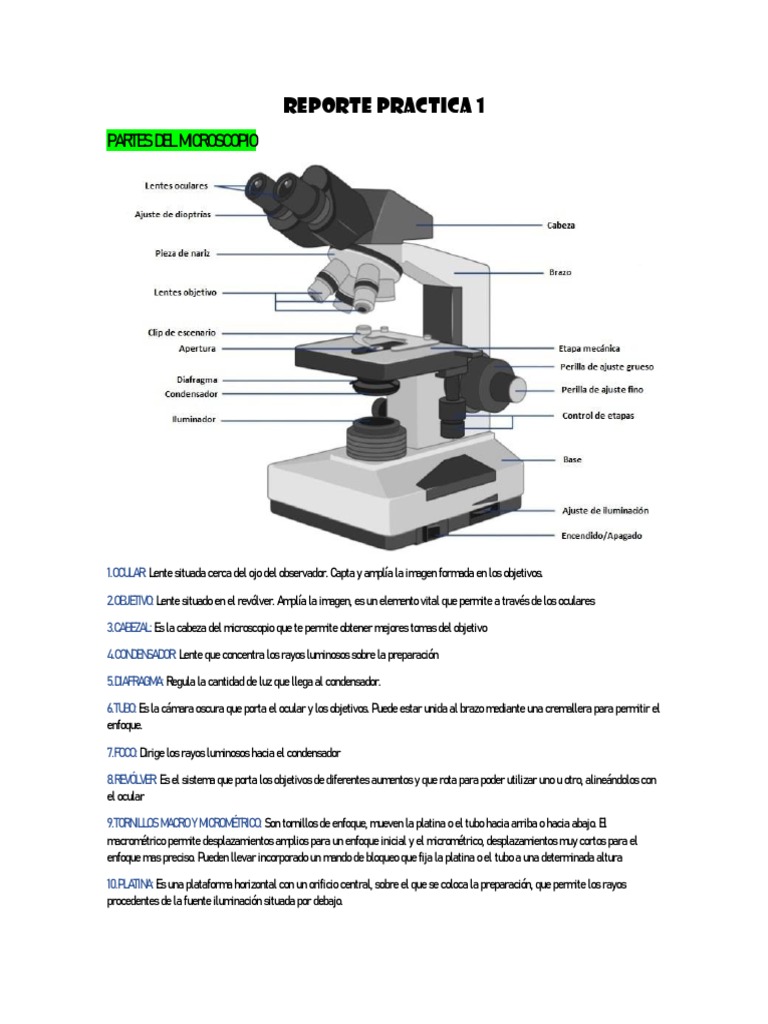 Reporte Practica 1 | PDF