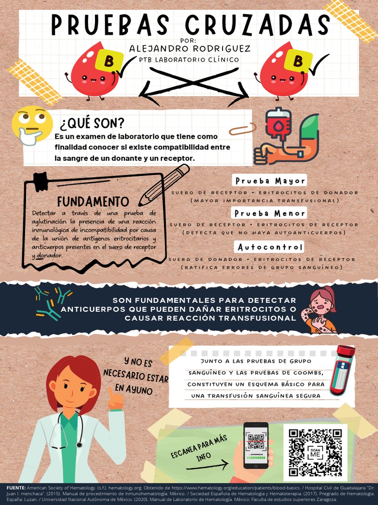 Infografia Pruebas Cruzadas | PDF | Tipo de sangre | Fisiología