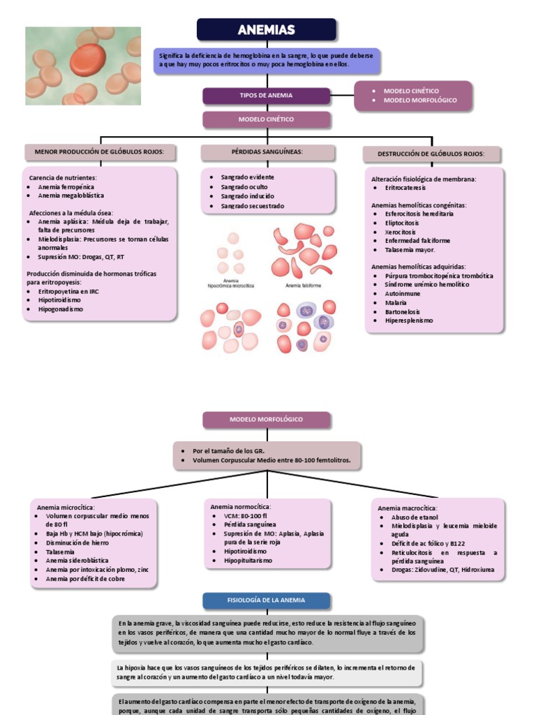Anemias Mapa Conceptual 142076 Downloable 2211747 Removed | PDF ...