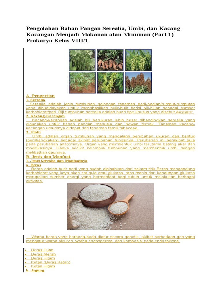 Pengolahan Bahan Pangan Serealia | PDF