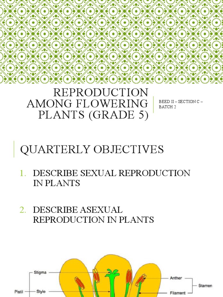 Reproduction in Flowering Plants for Grade 5 | PDF