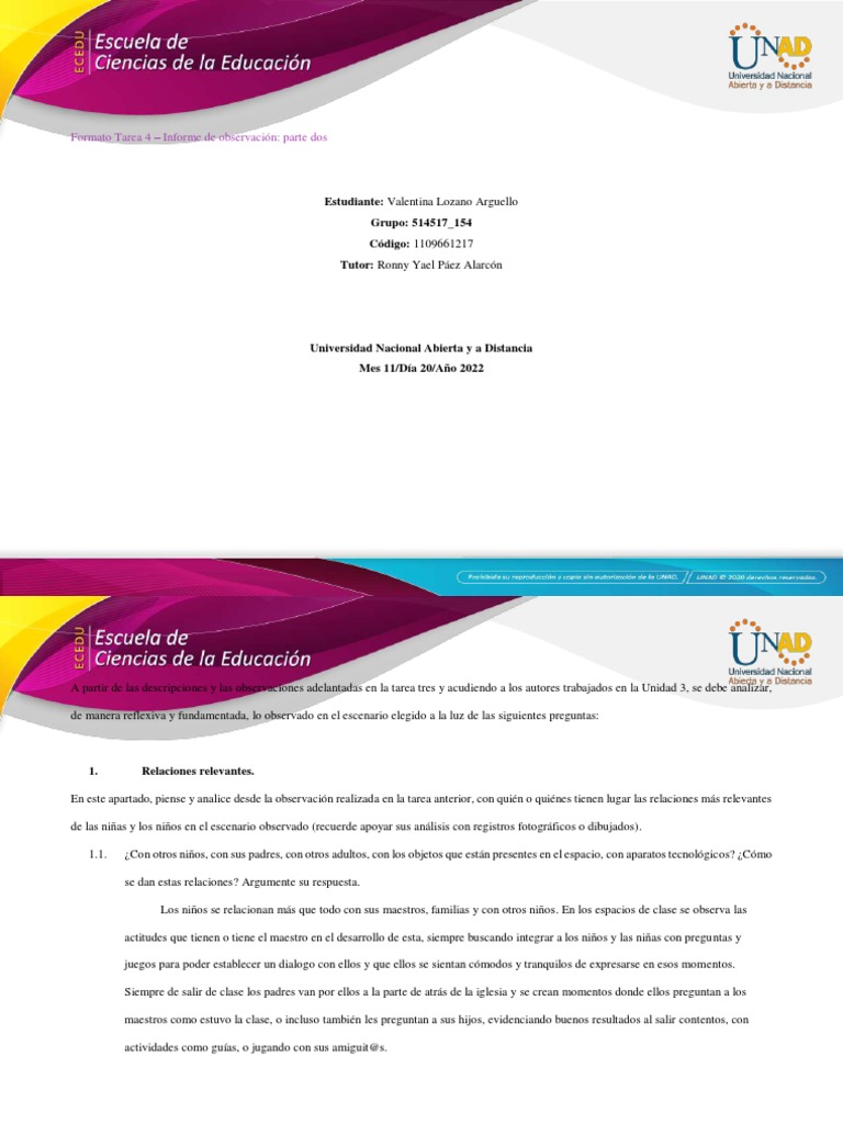Formato Tarea 4 Informe de Observación Parte Dos - Valentina Lozano Arguello - Compressed | PDF