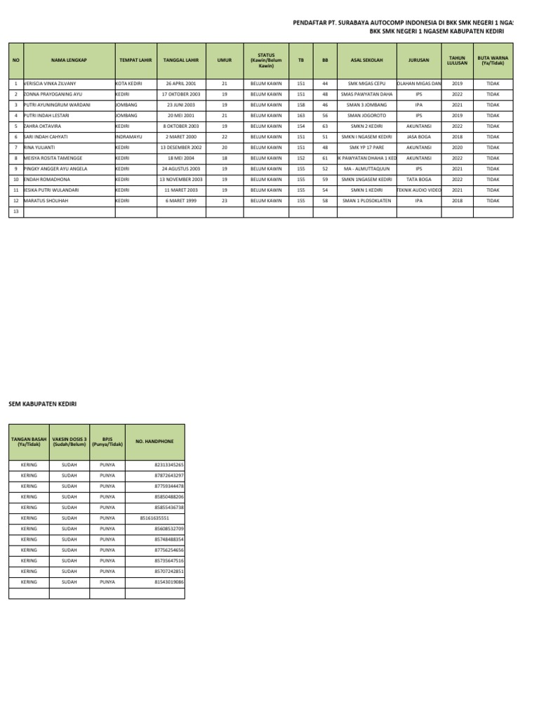 Form Rekrutmen PT. SAI-BKK Skaneda | PDF