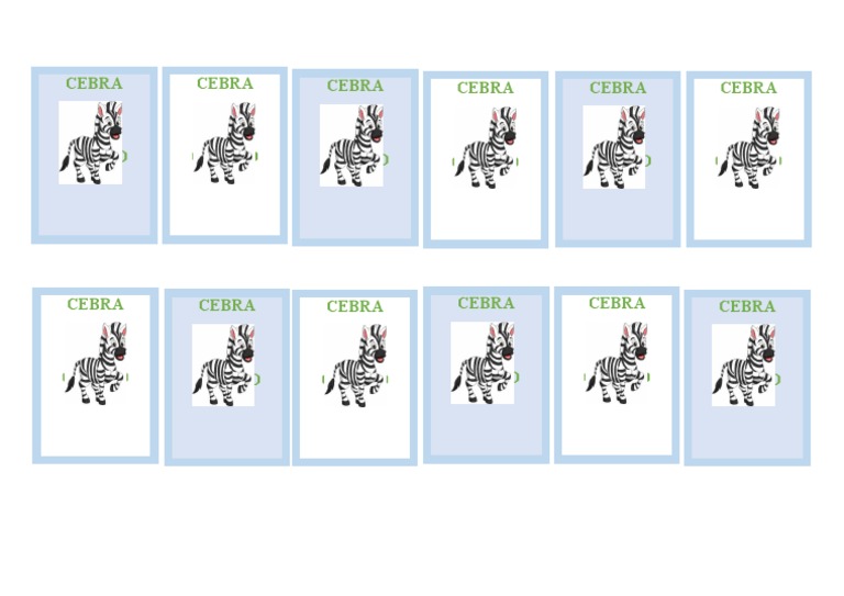 Cebra Camilo: 4 Años de Vida | PDF