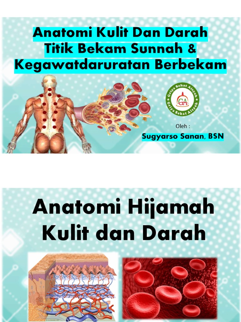 Anatomi Kulit Dan Darah, Titik Bekam Sunnah & Kegawatdaruratan Berbekam ...