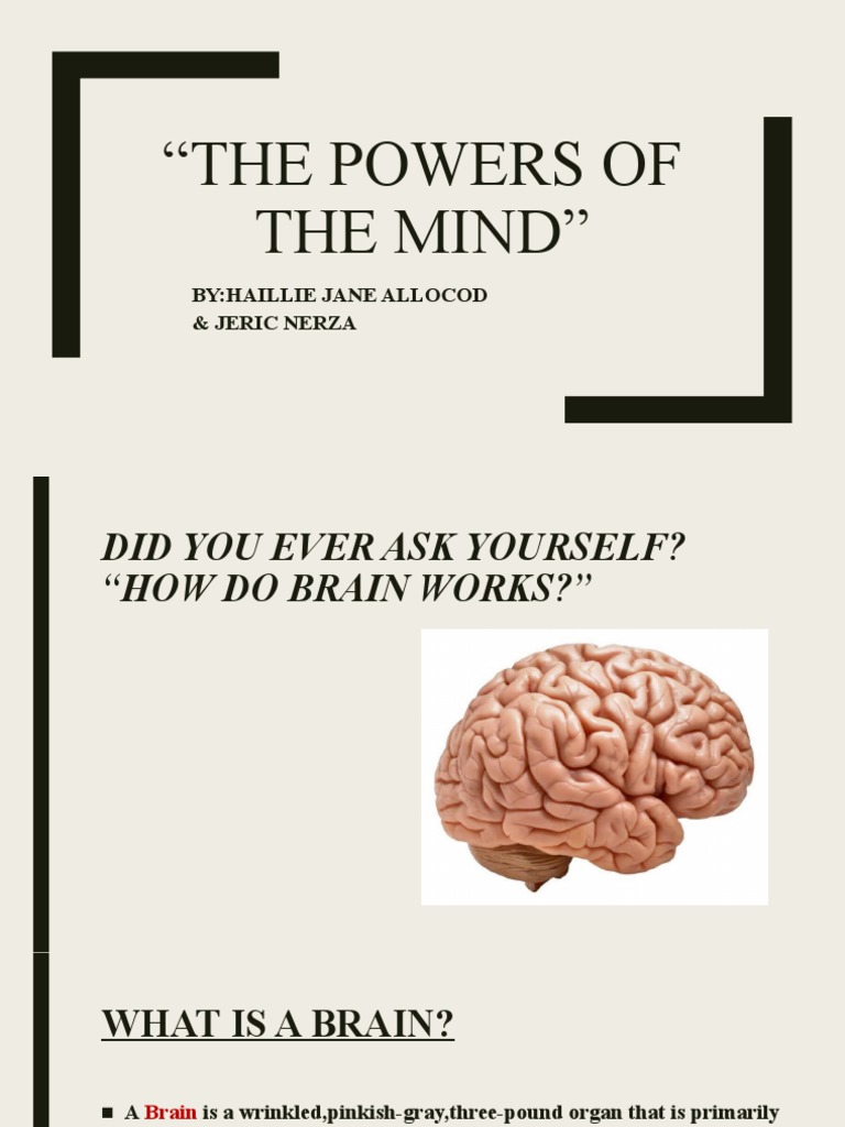 PowerPoint Presentation Perdev by Haillie and Jeric | PDF | Brain | Cerebellum