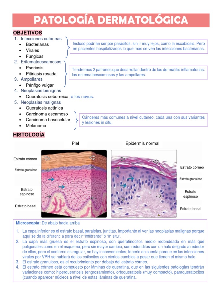 Patología dermatológica: Una revisión de infecciones, neoplasias y ...