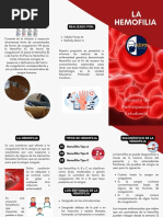 Tentramitrozón - Usos y Efectos Secundarios | PDF | Asma | Inflamación