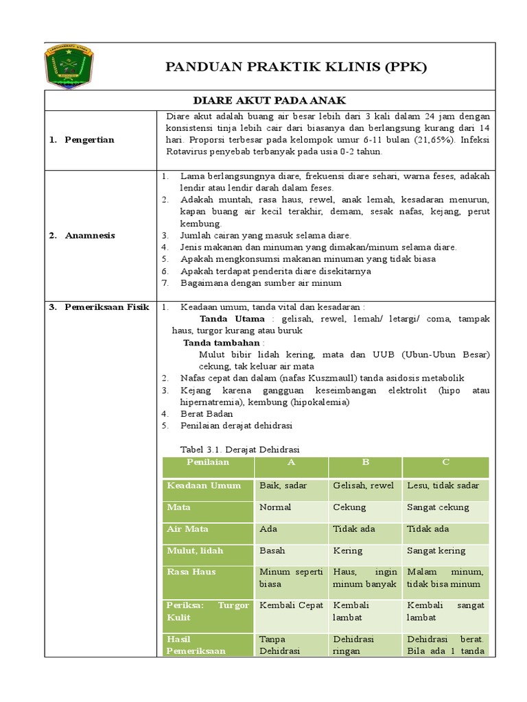PPK Diare Anak | PDF