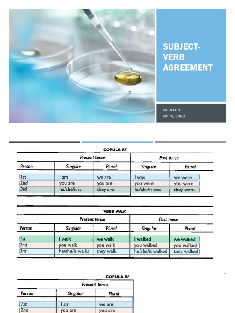 Subject-Verb Agreement Module Guide | PDF | Verb | Grammatical Number
