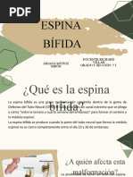 Inserto Esfinto Plus | PDF | Medicina CLINICA | Especialidades Medicas