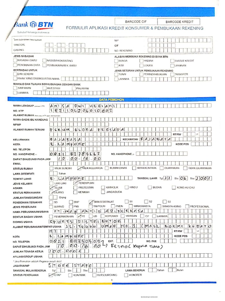 Data Diri Anisa Dwi Heriana | PDF