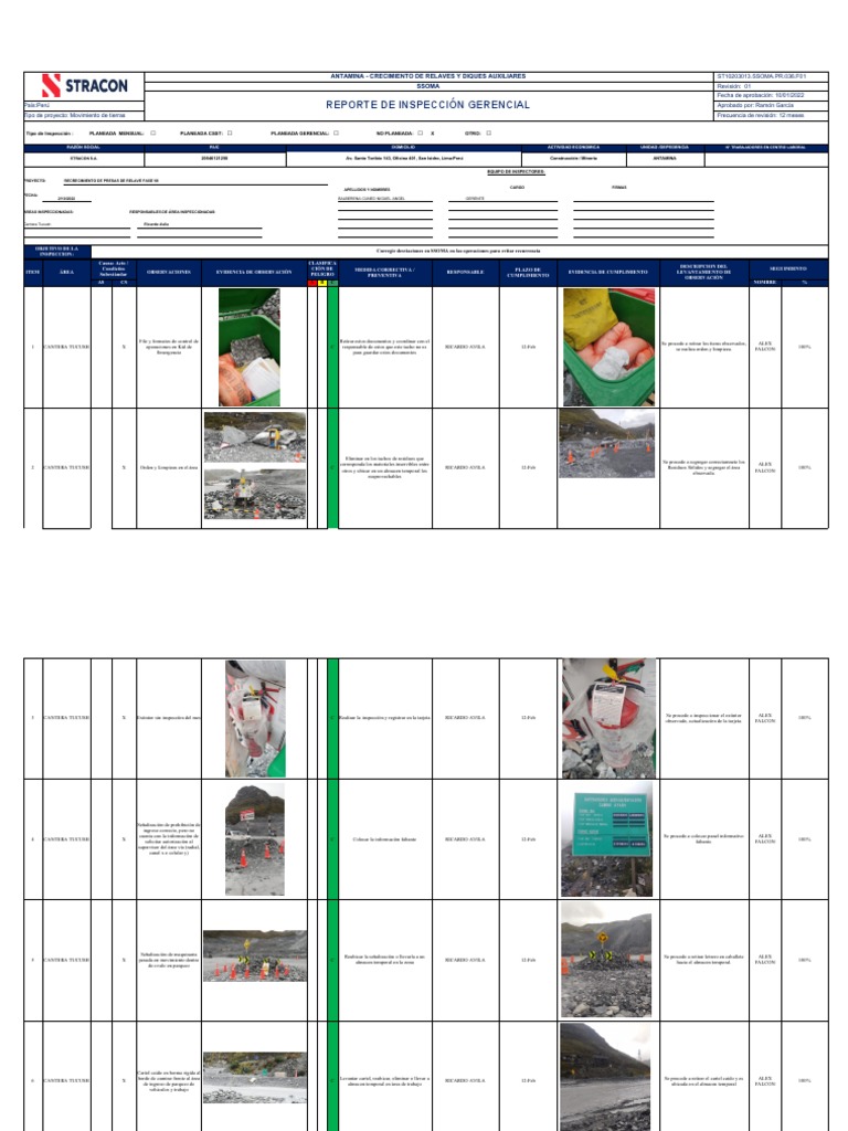 ST10203013.SSOMA - pr.036.F01 Inspección Gerencial - V1 MBalberena | PDF