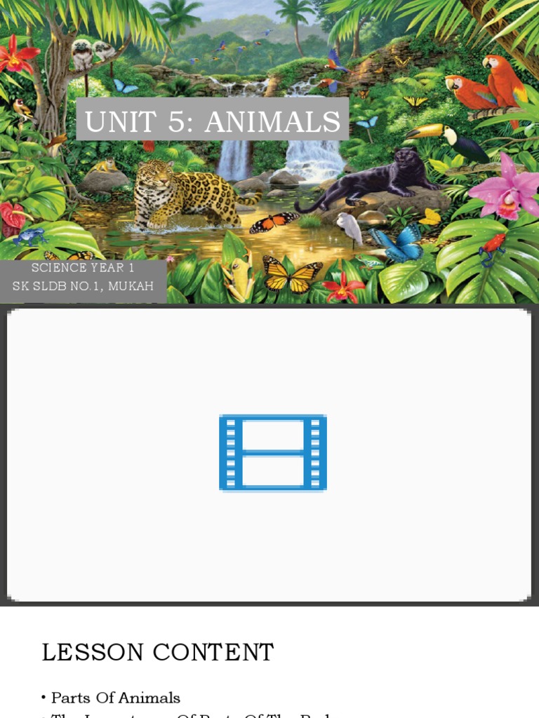 Unit 5 Animals Year 1 | PDF | General Fiction